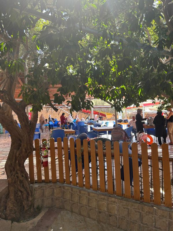 NEWS | Children of Peace